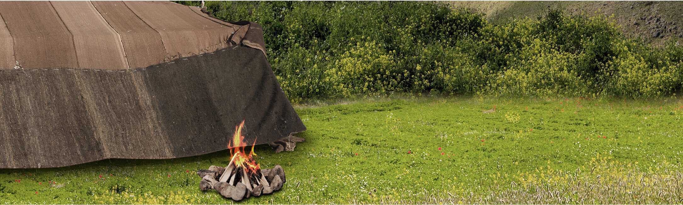 Live The Bible - לחיות את התנ"ך